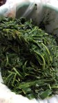Woad extraction | Local & Bespoke